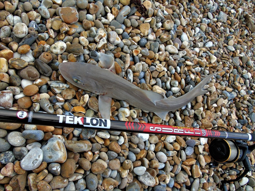 Grauvell Vertix DIVINE Reel – MATT CROWE ANGLING